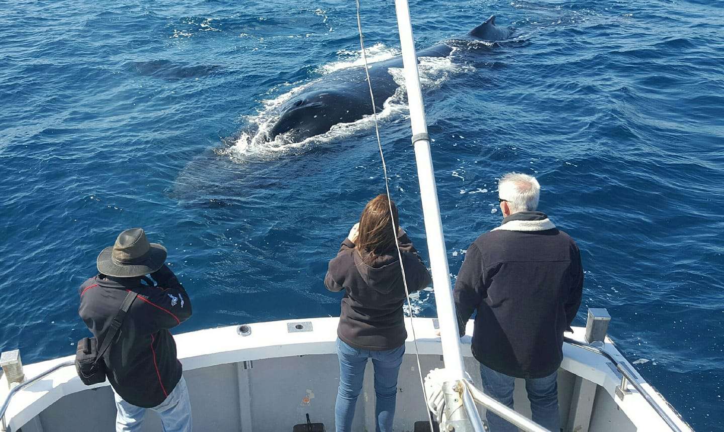 About - Freedom Charters